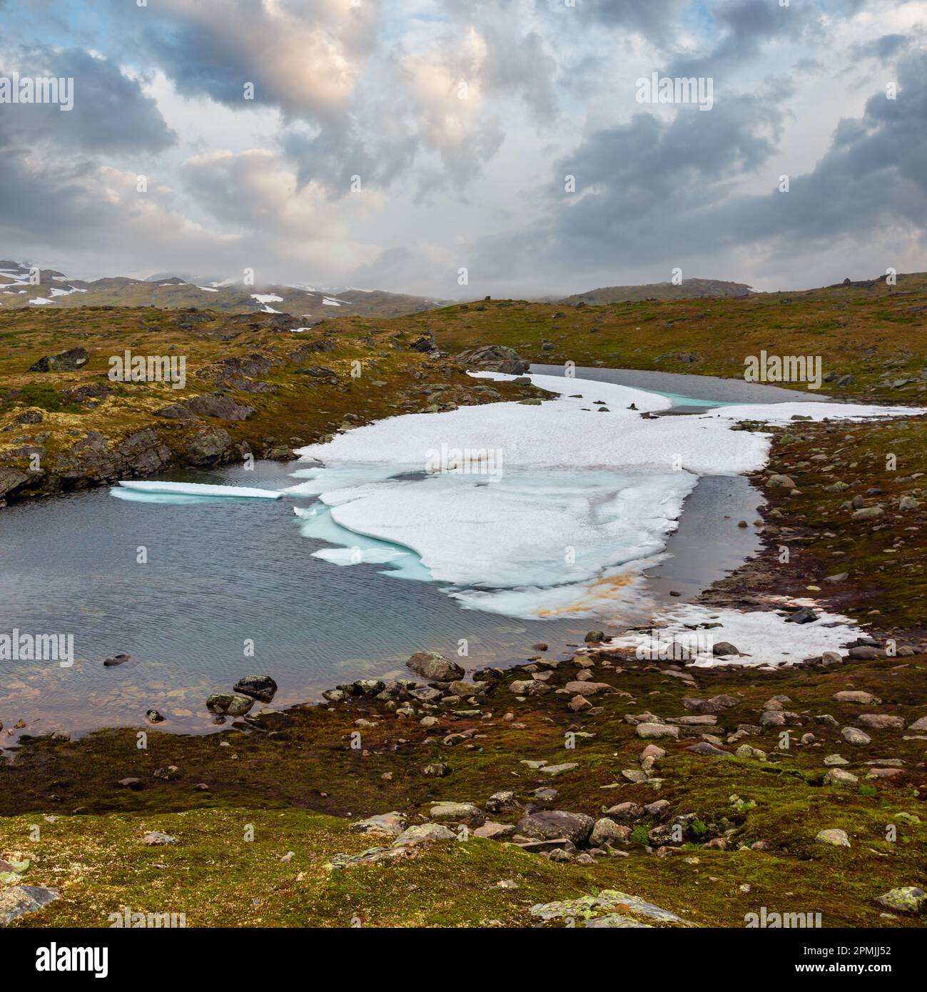Tundra norway shore summer hi-res stock photography and images - Alamy