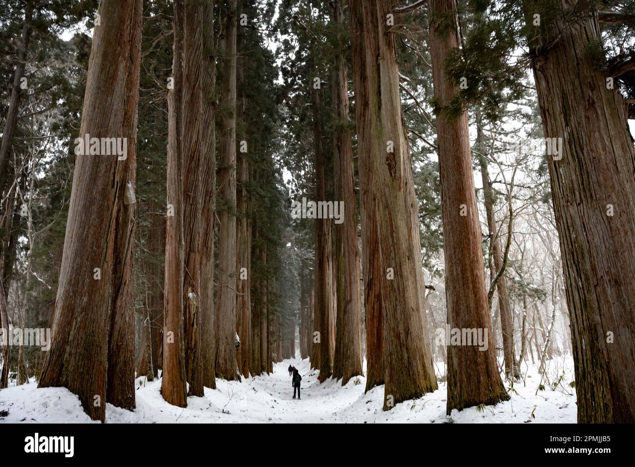 Togakushi, Nagano Prefecture, Japan. 13th Feb, 2023. Snow-covered ...