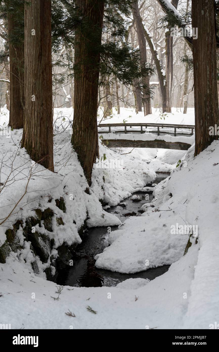 Togakushi, Nagano Prefecture, Japan. 13th Feb, 2023. Snow-covered ...