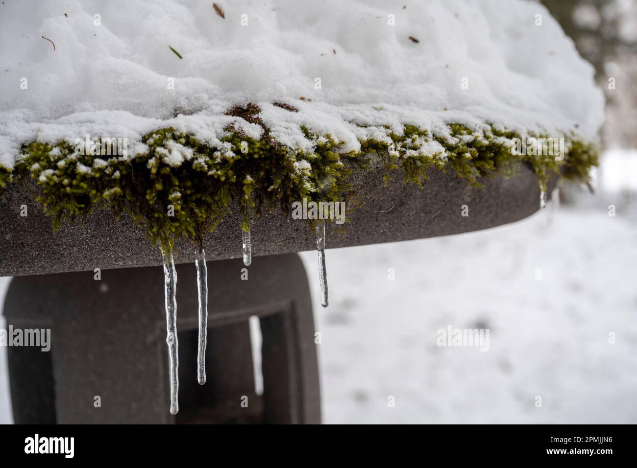 Togakushi, Nagano Prefecture, Japan. 13th Feb, 2023. Snow-covered ...