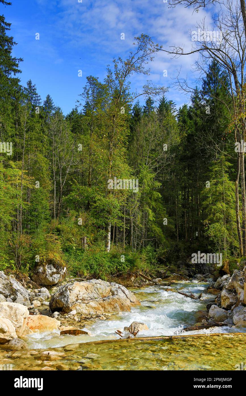 Rural landscape with trees, rocks and a wild river Stock Photo - Alamy