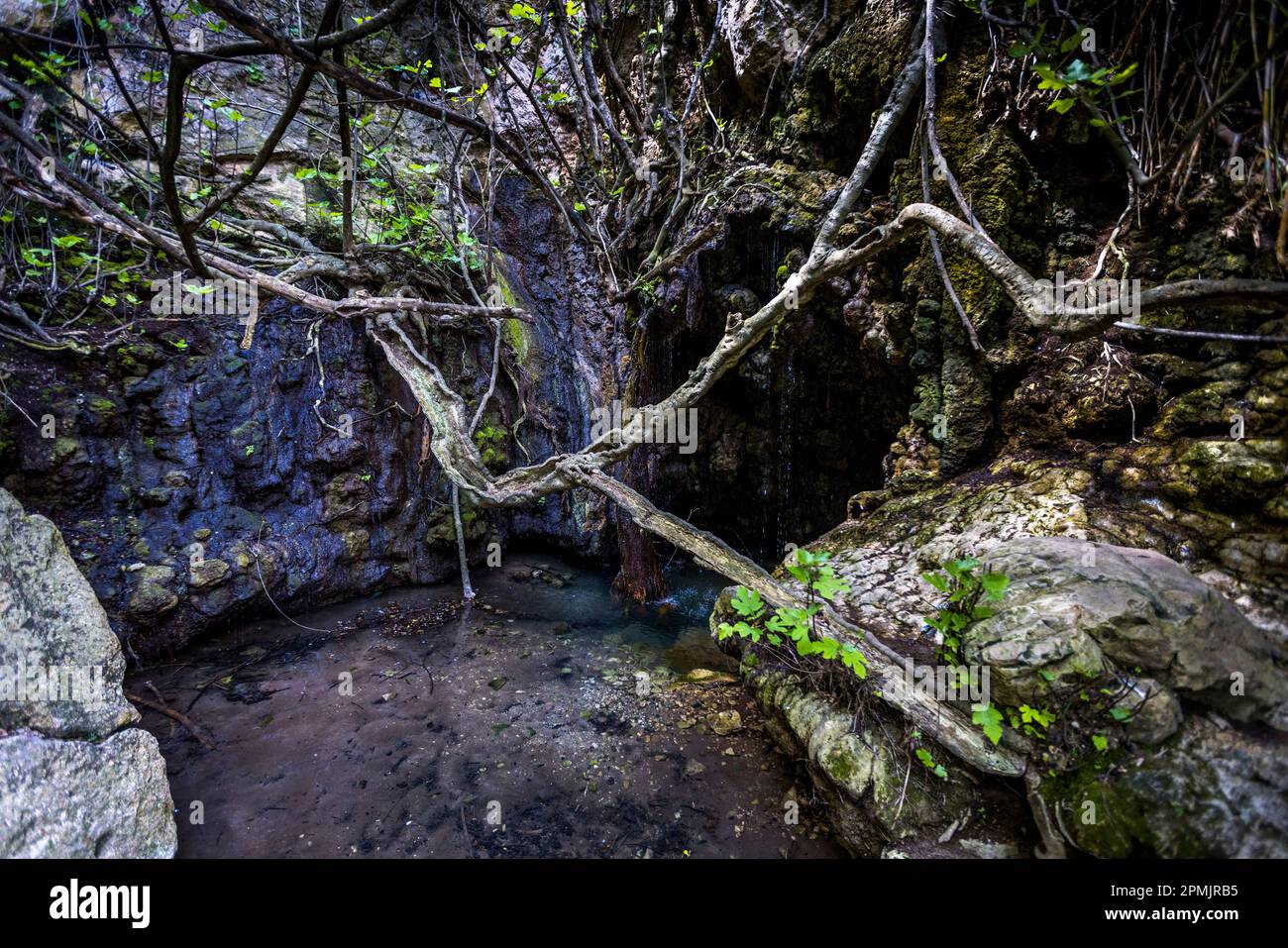 Rock grotto called "Bath of Aphrodite". Popular excursion destination ...