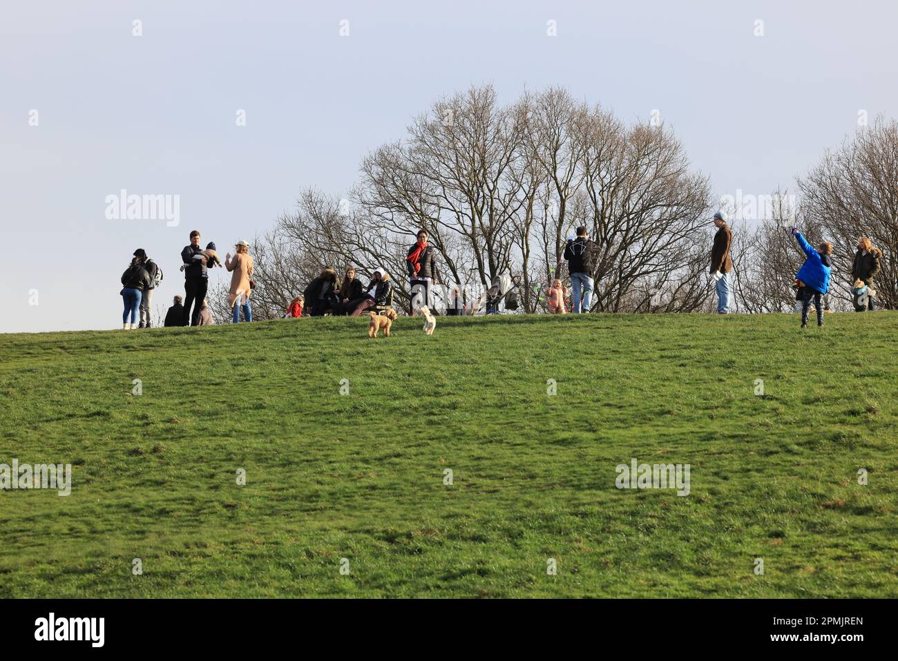 Early spring sunshine on Hampstead Heath, in north London, UK Stock ...