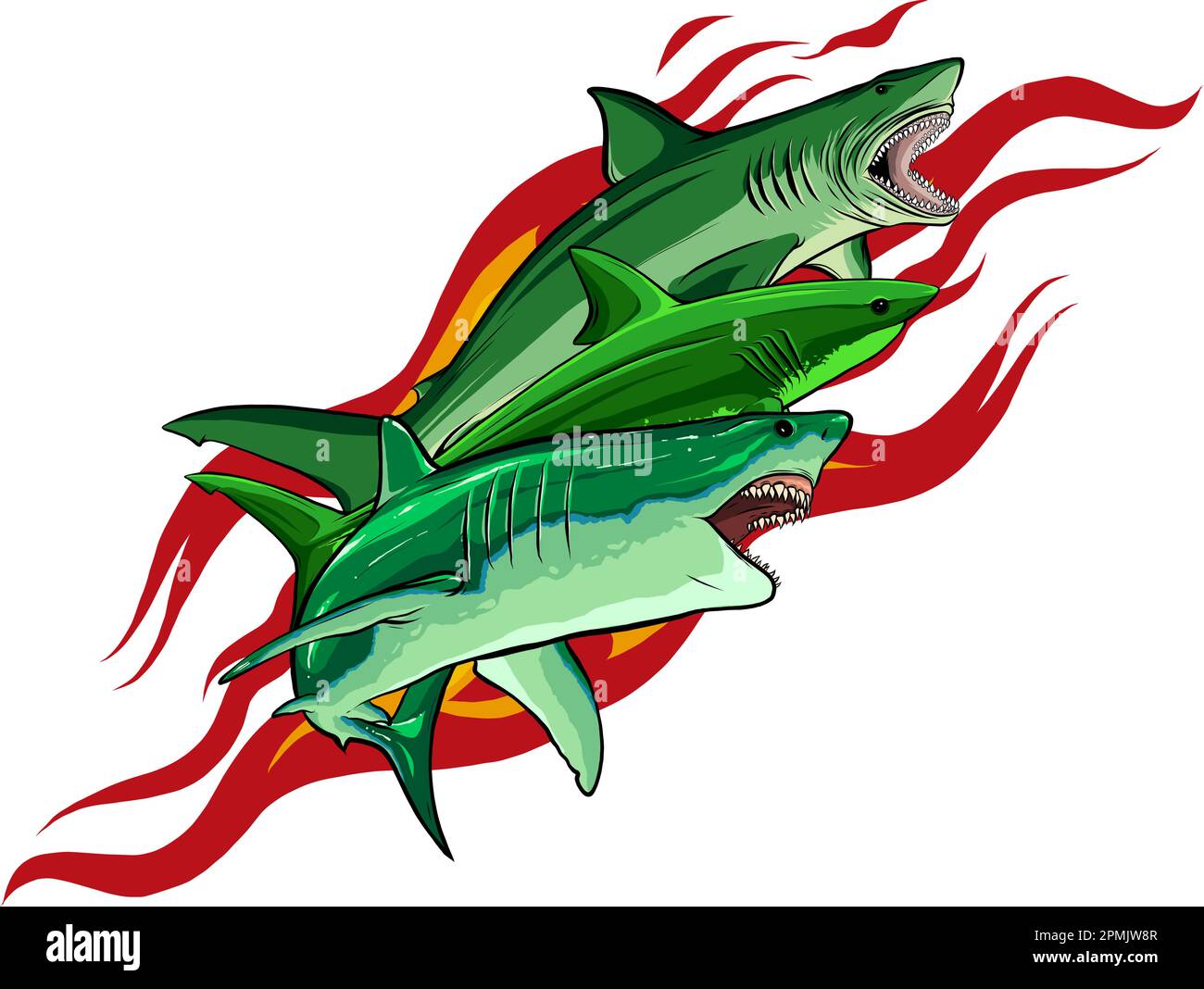 vector illustration of sharks on white background Stock Vector Image & Art - Alamy