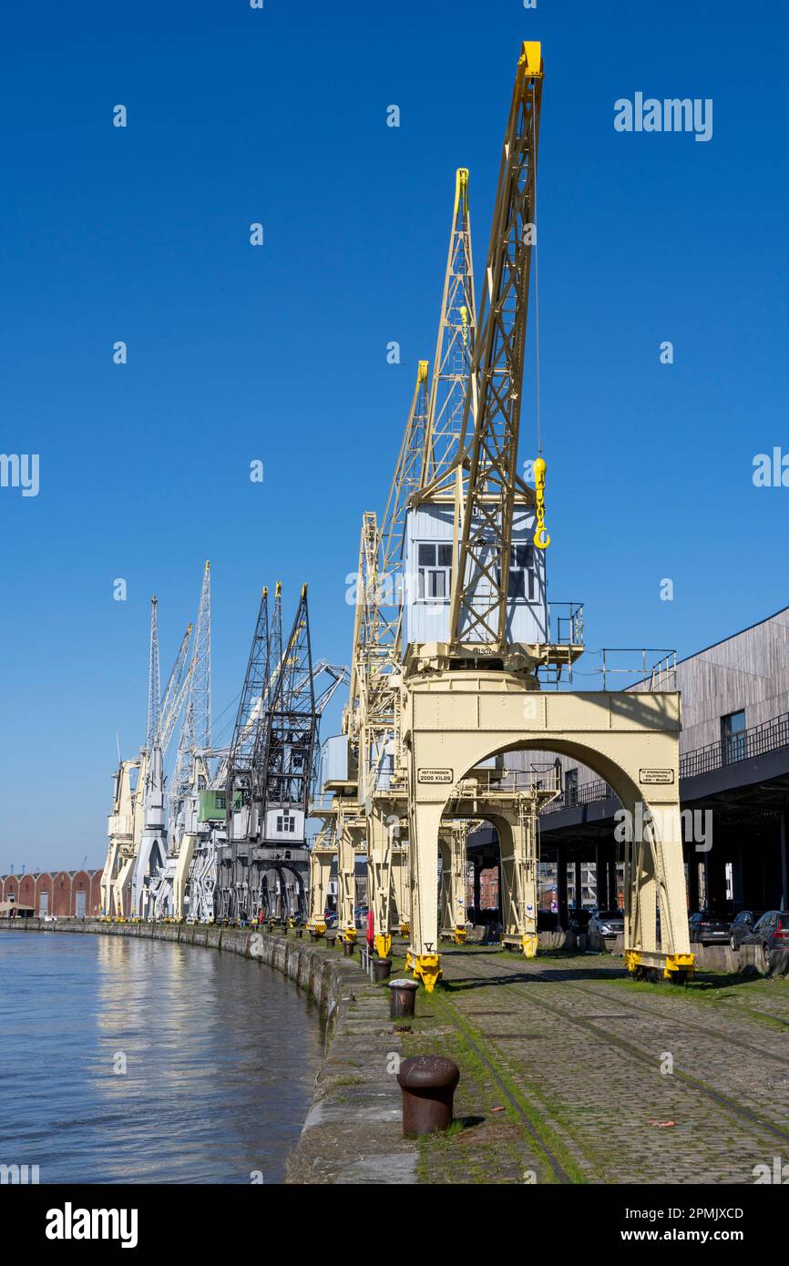 Harbour cranes on the Scheldt Quay, the world's largest collection of ...