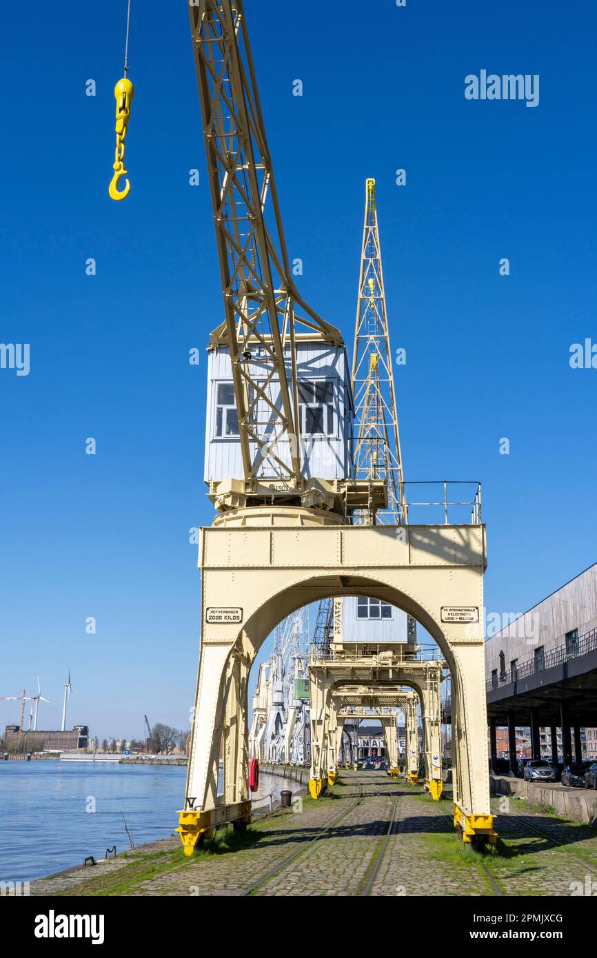 Harbour cranes on the Scheldt Quay, the world's largest collection of ...