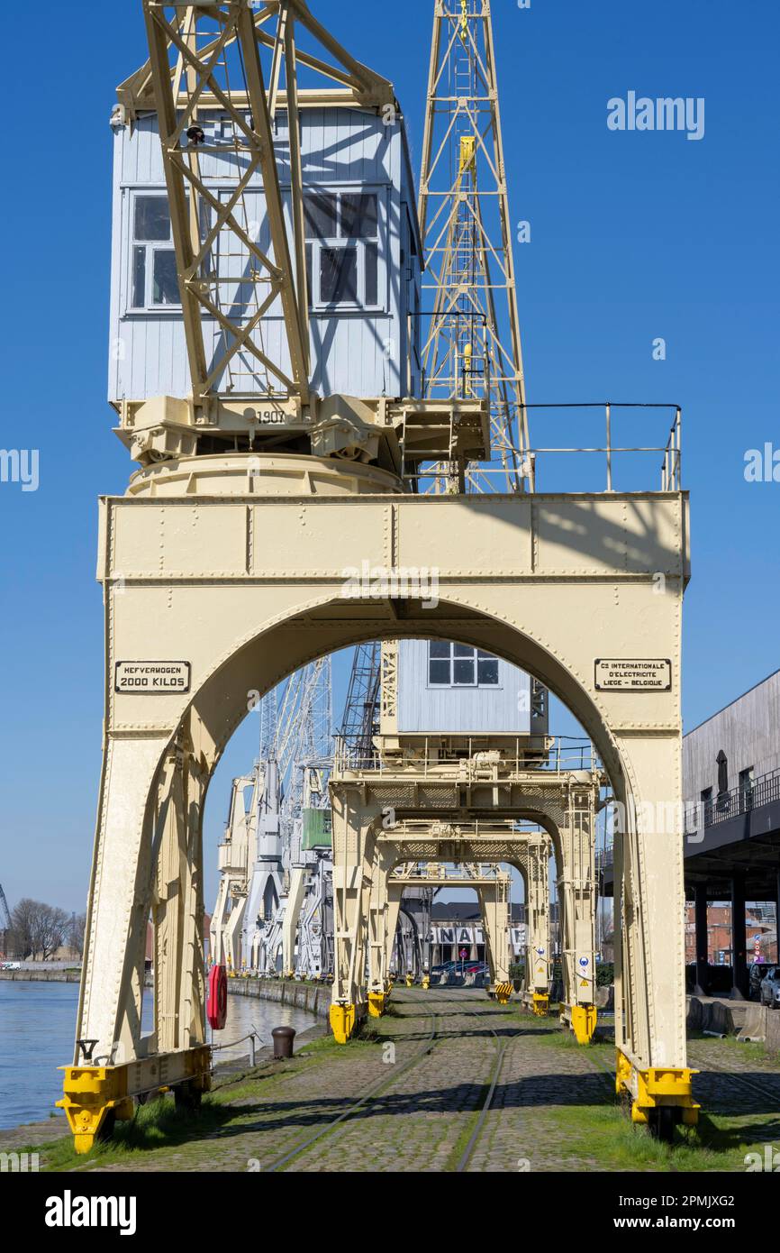 Harbour cranes on the Scheldt Quay, the world's largest collection of ...