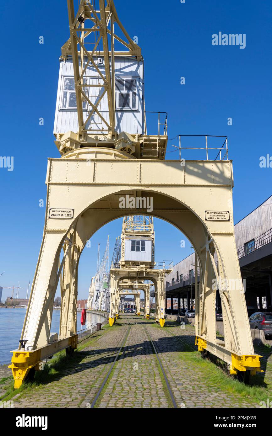 Harbour cranes on the Scheldt Quay, the world's largest collection of ...