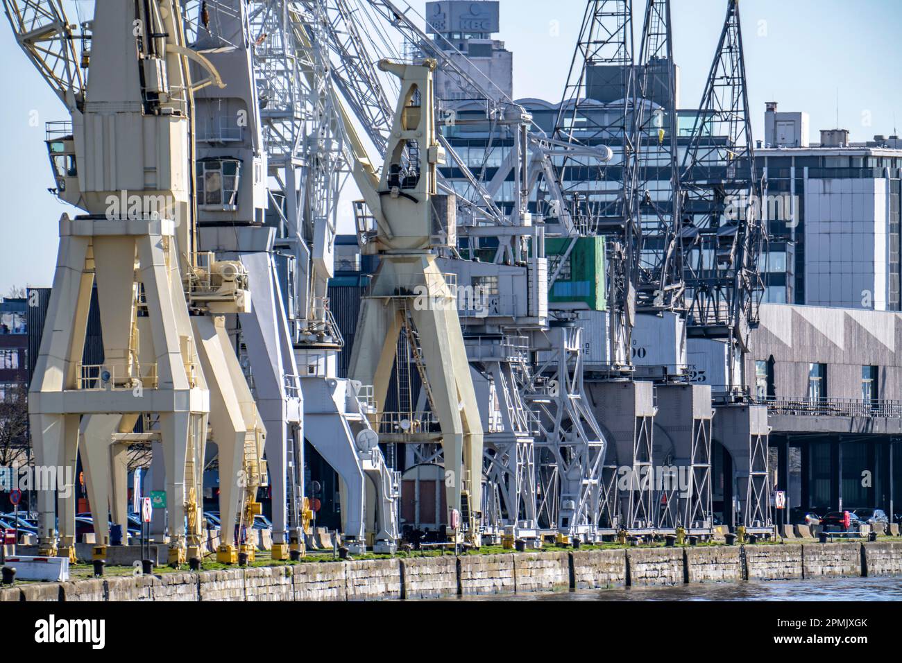 Harbour cranes on the Scheldt Quay, the world's largest collection of ...