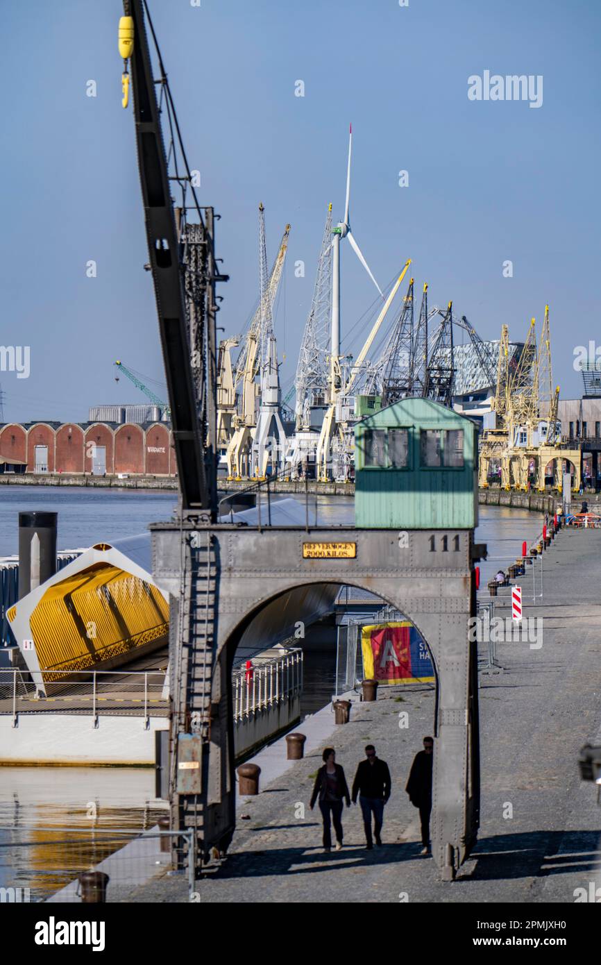 Harbour cranes on the Scheldt Quay, the world's largest collection of ...