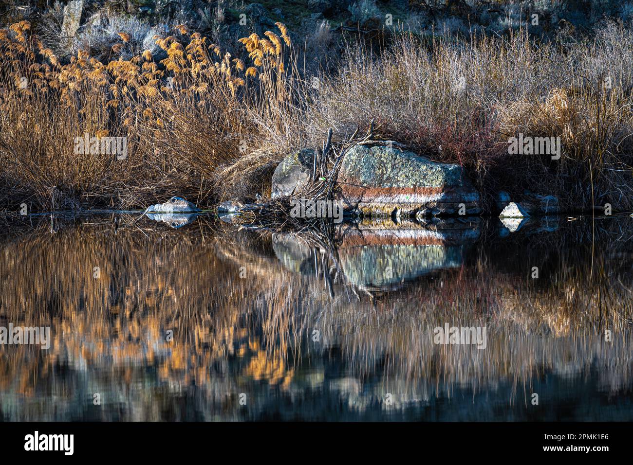 Botany refuge fauna hi-res stock photography and images - Alamy