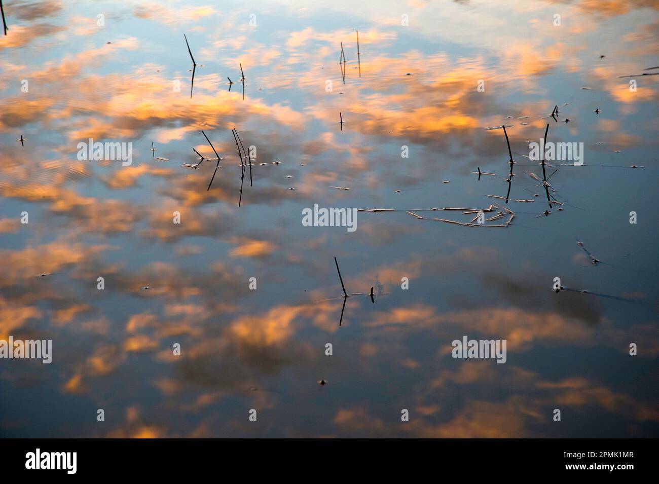 Cielo blu cielo nuvole hi-res stock photography and images - Alamy