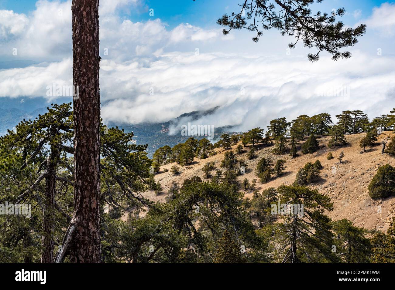 Hiking in the Troodos Mountains, Cyprus Stock Photo - Alamy
