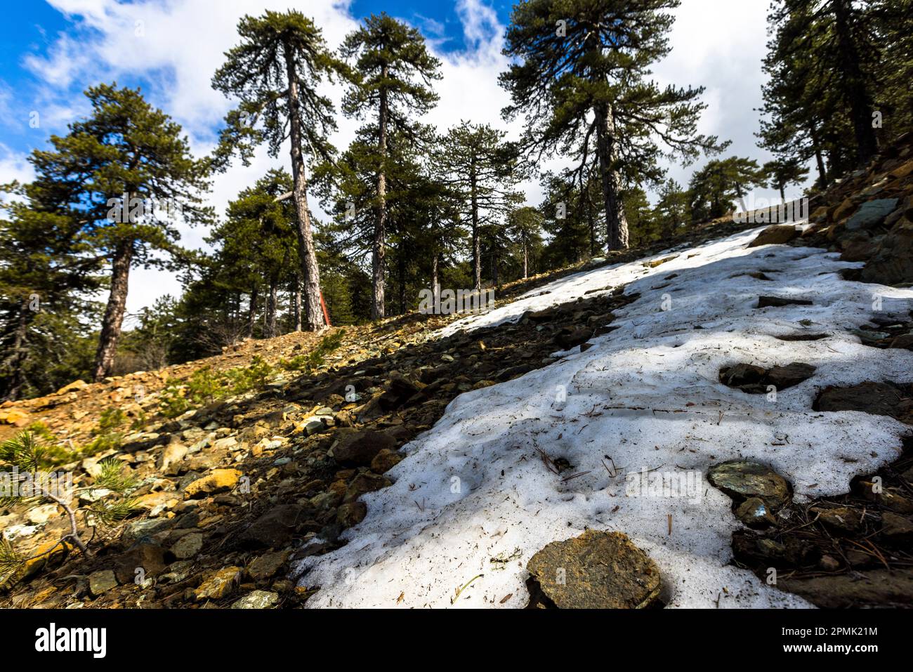 Hiking in the Troodos Mountains, Cyprus Stock Photo - Alamy