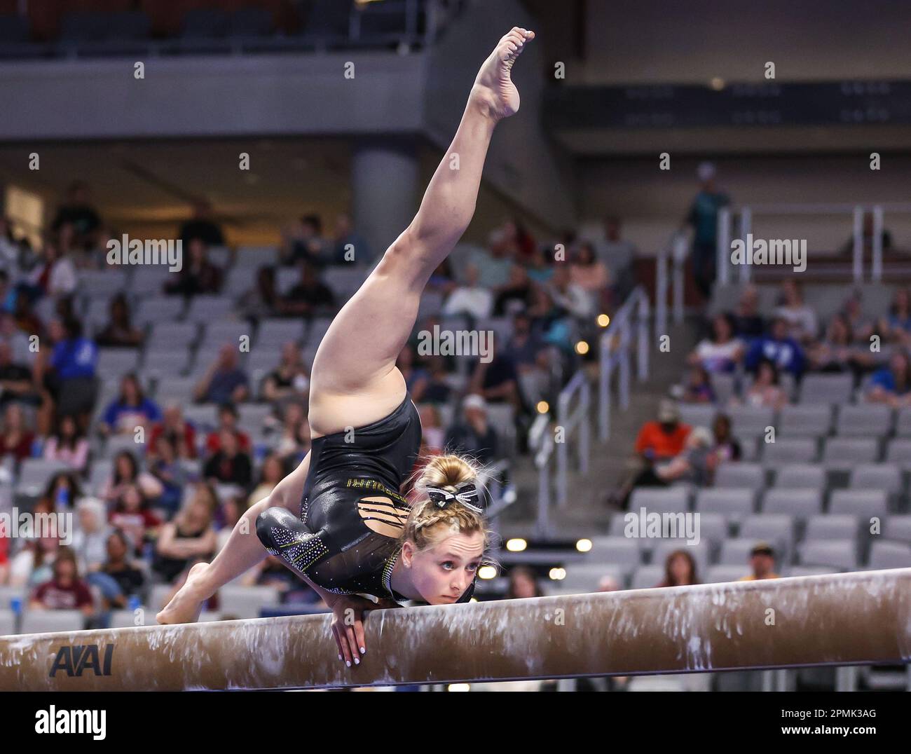 Fort Worth, TX, USA. 13th Apr, 2023. Missouri's Alisa Sheremeta ...