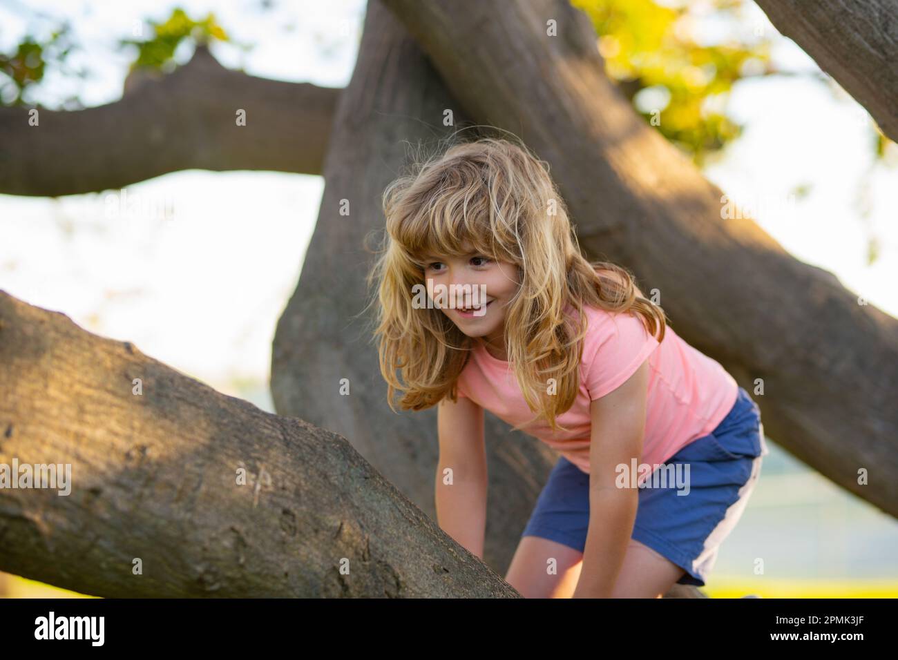 8 years old boy climbing high tree in the park. Overcoming the fear of ...