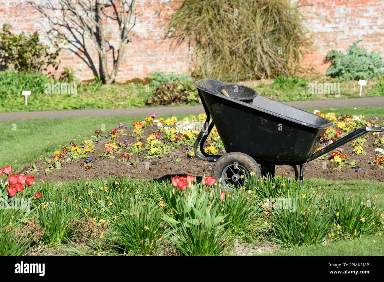 Large garden flower bed in sunshine planting flowers and plants in the ...