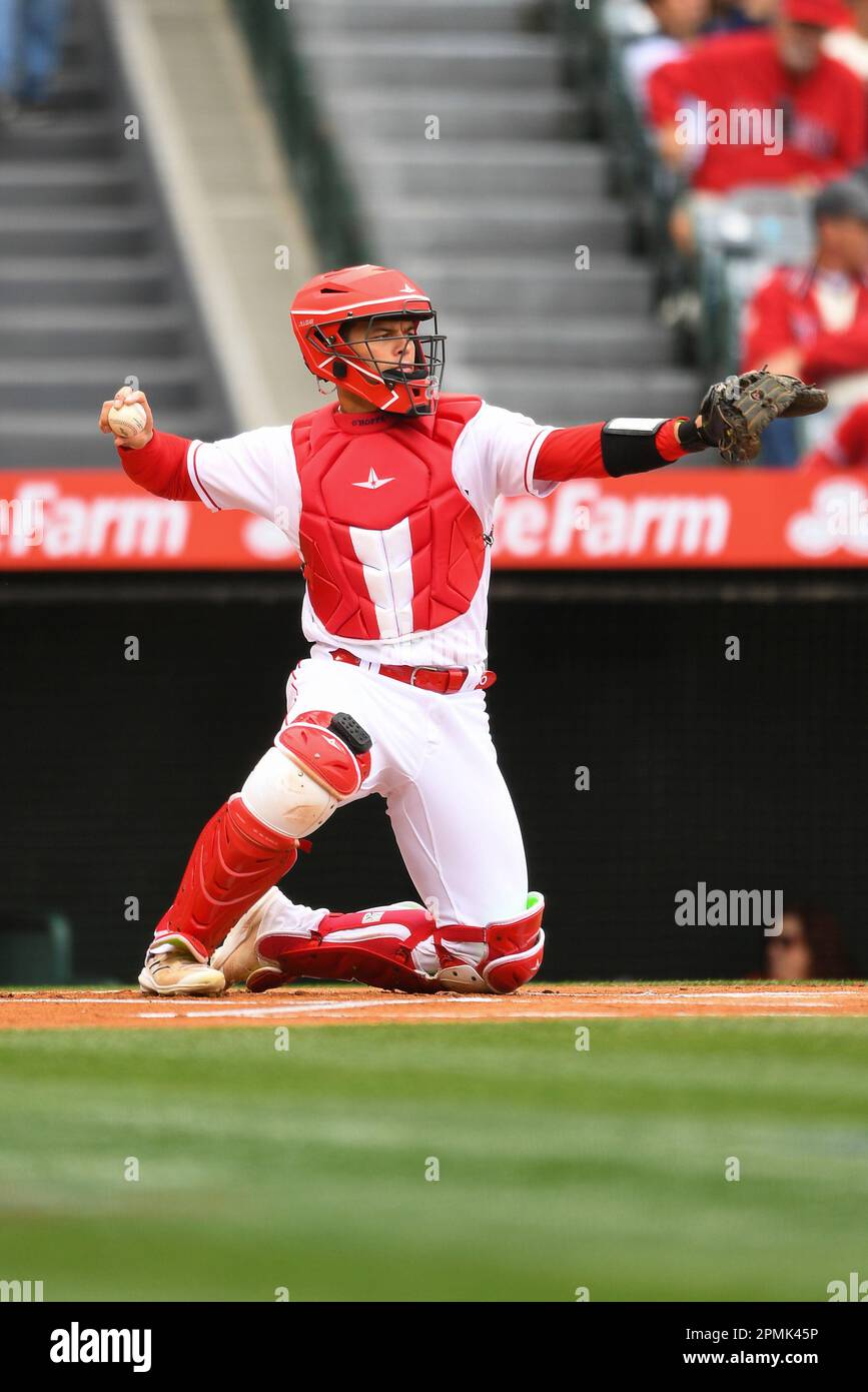 ANAHEIM, CA - APRIL 12: Los Angeles Angels Catcher Logan O'Hoppe (14 ...