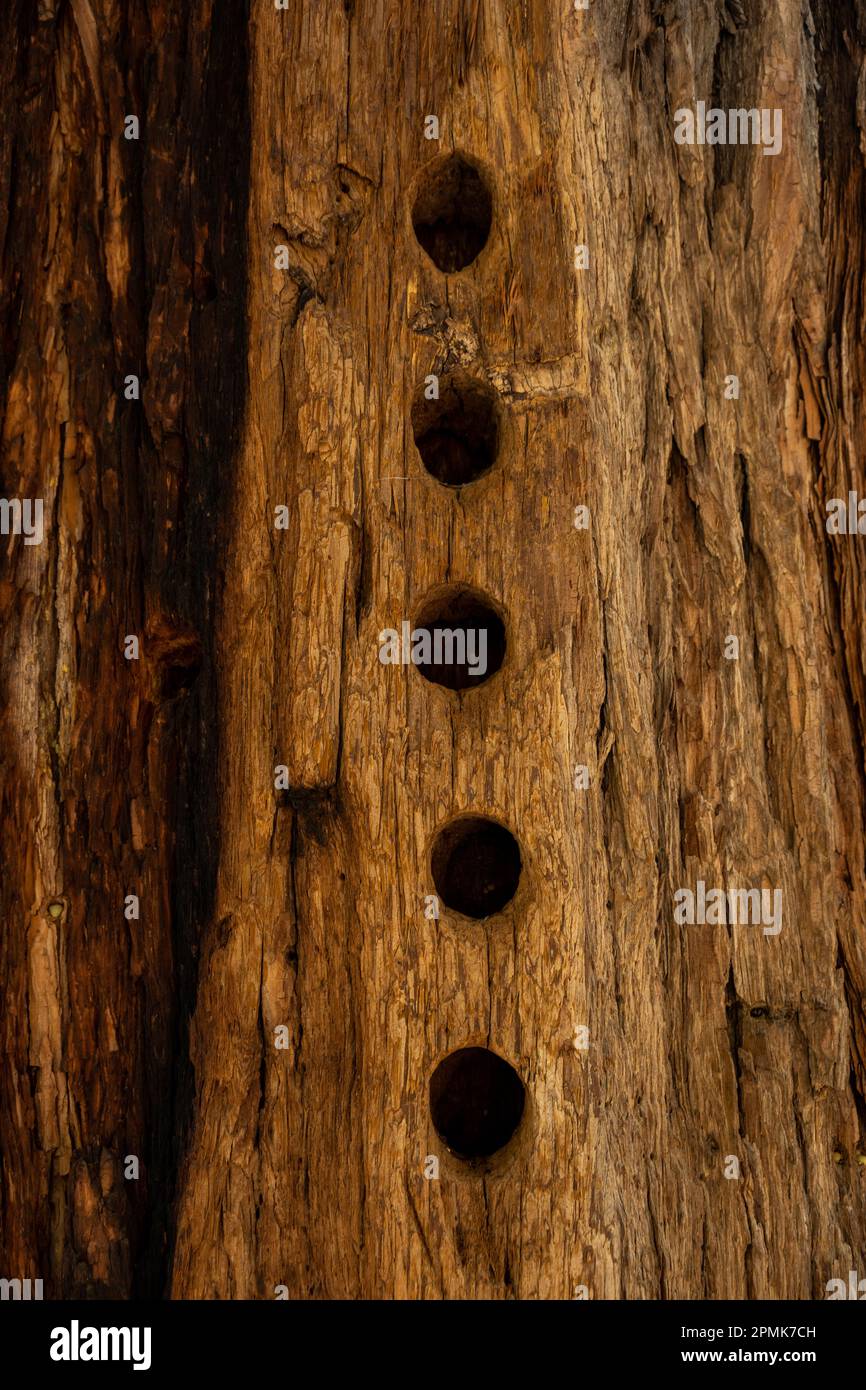 Bored holes hi-res stock photography and images - Alamy