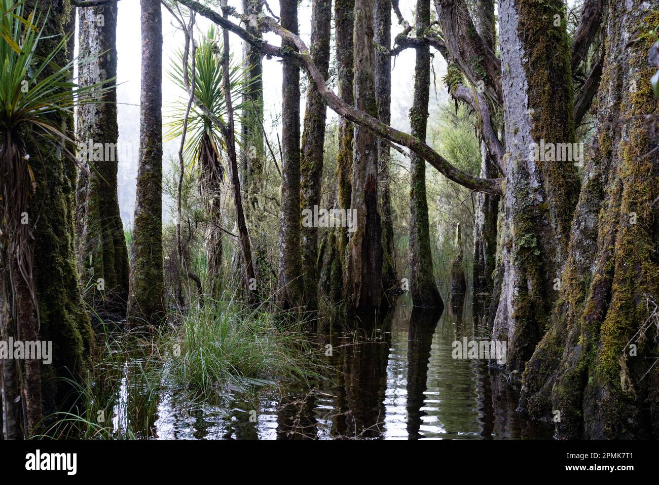 Arohaki Lagoon, a secluded lagoon in the Bay of Plenty region ...