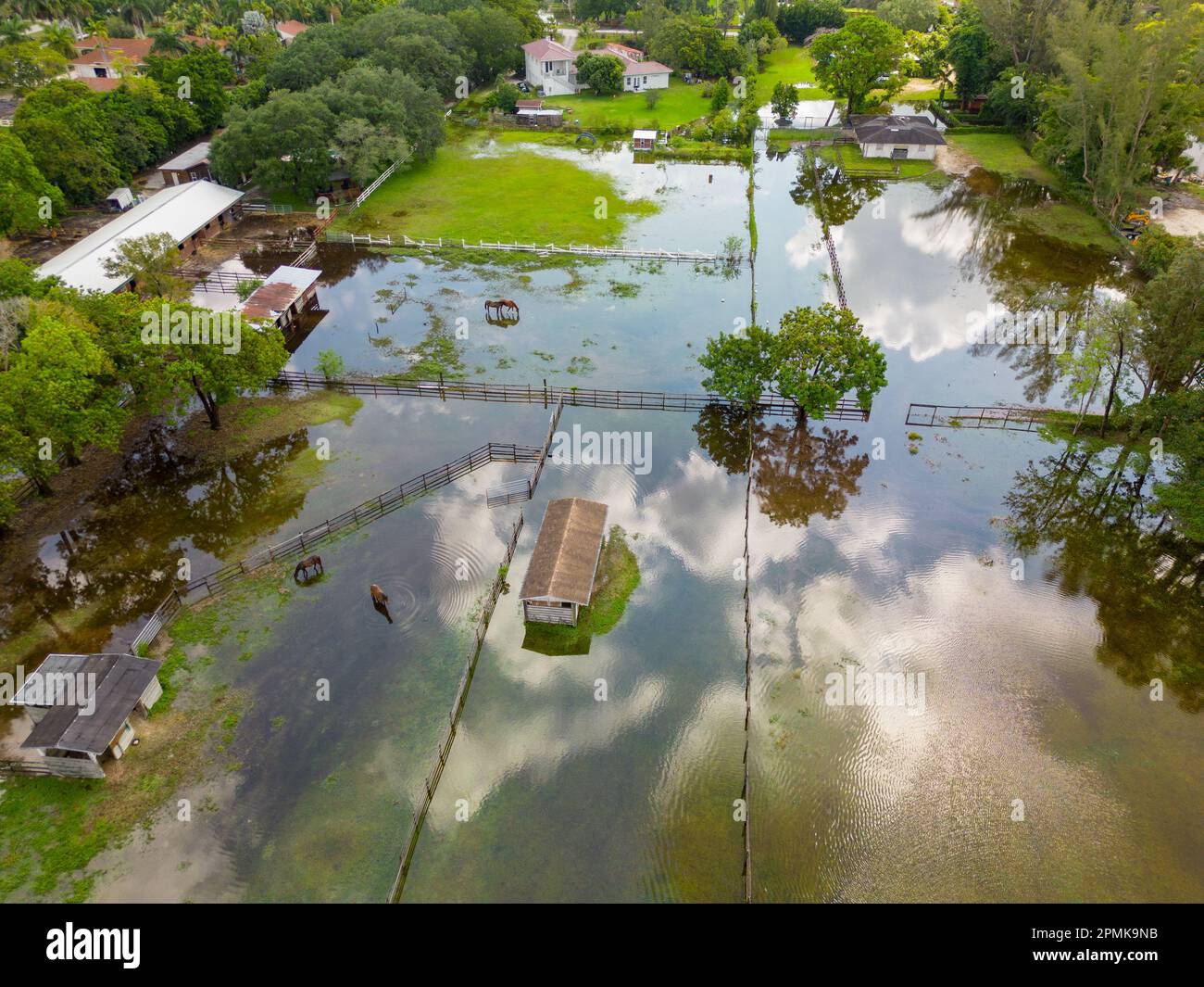 Horse ranches flooded aftermath florida hi-res stock photography and ...