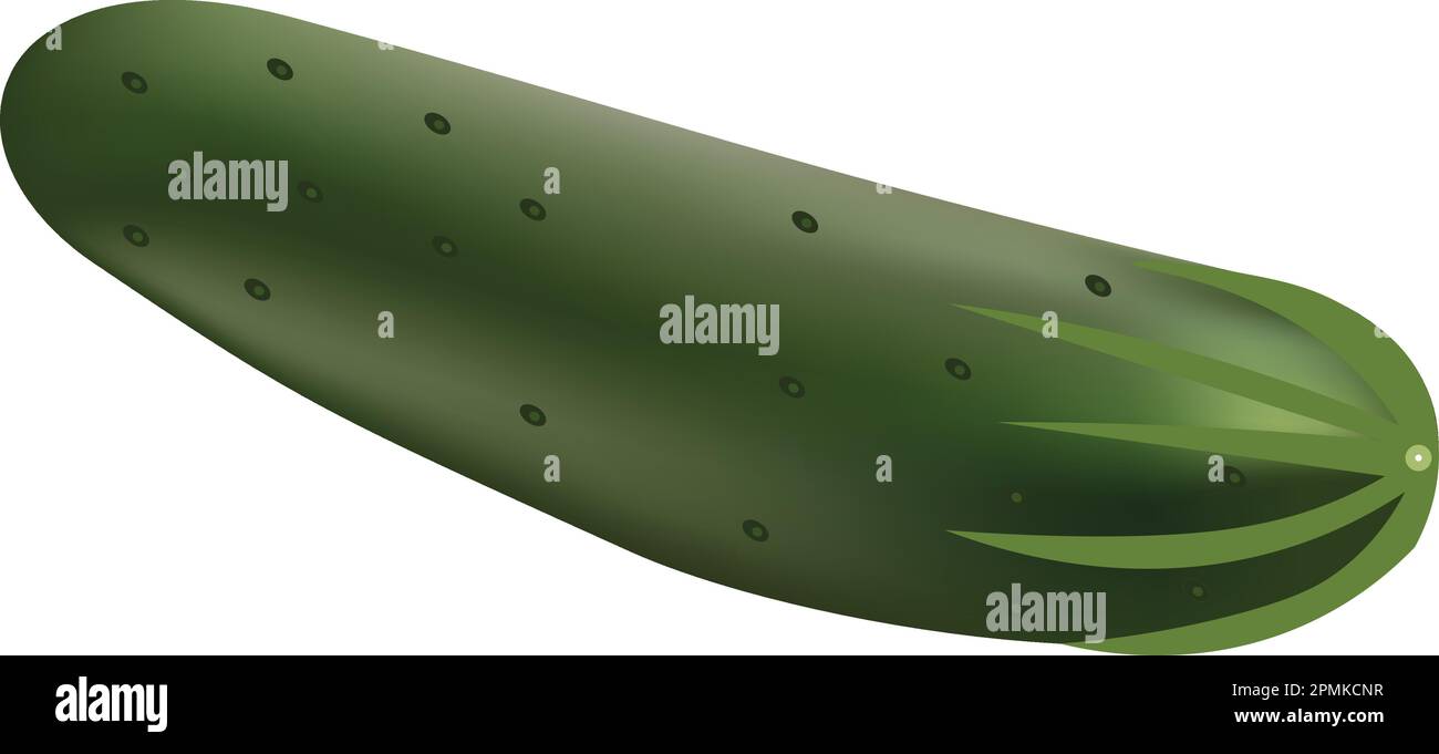 Cucumber plant Stock Vector Images - Alamy