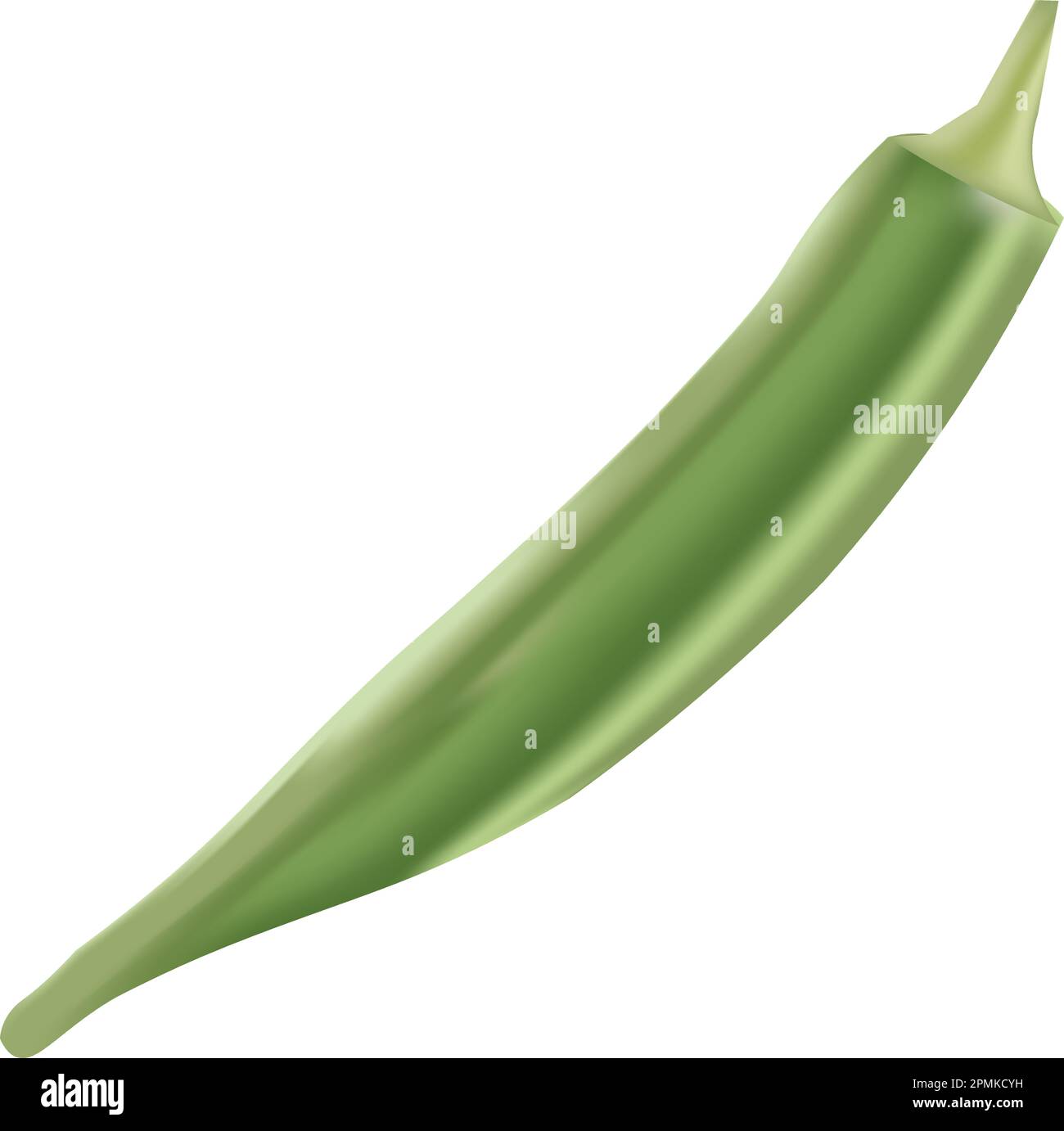 Okra plant Stock Vector Images - Alamy