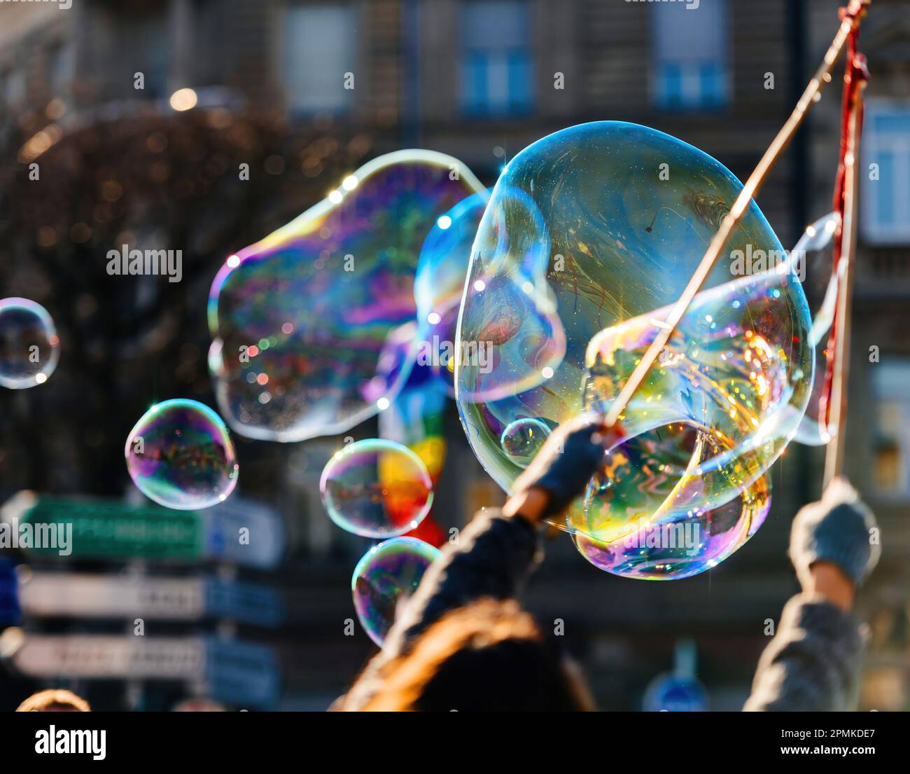 A huge group of people in a rear view, their hands raised above and ...