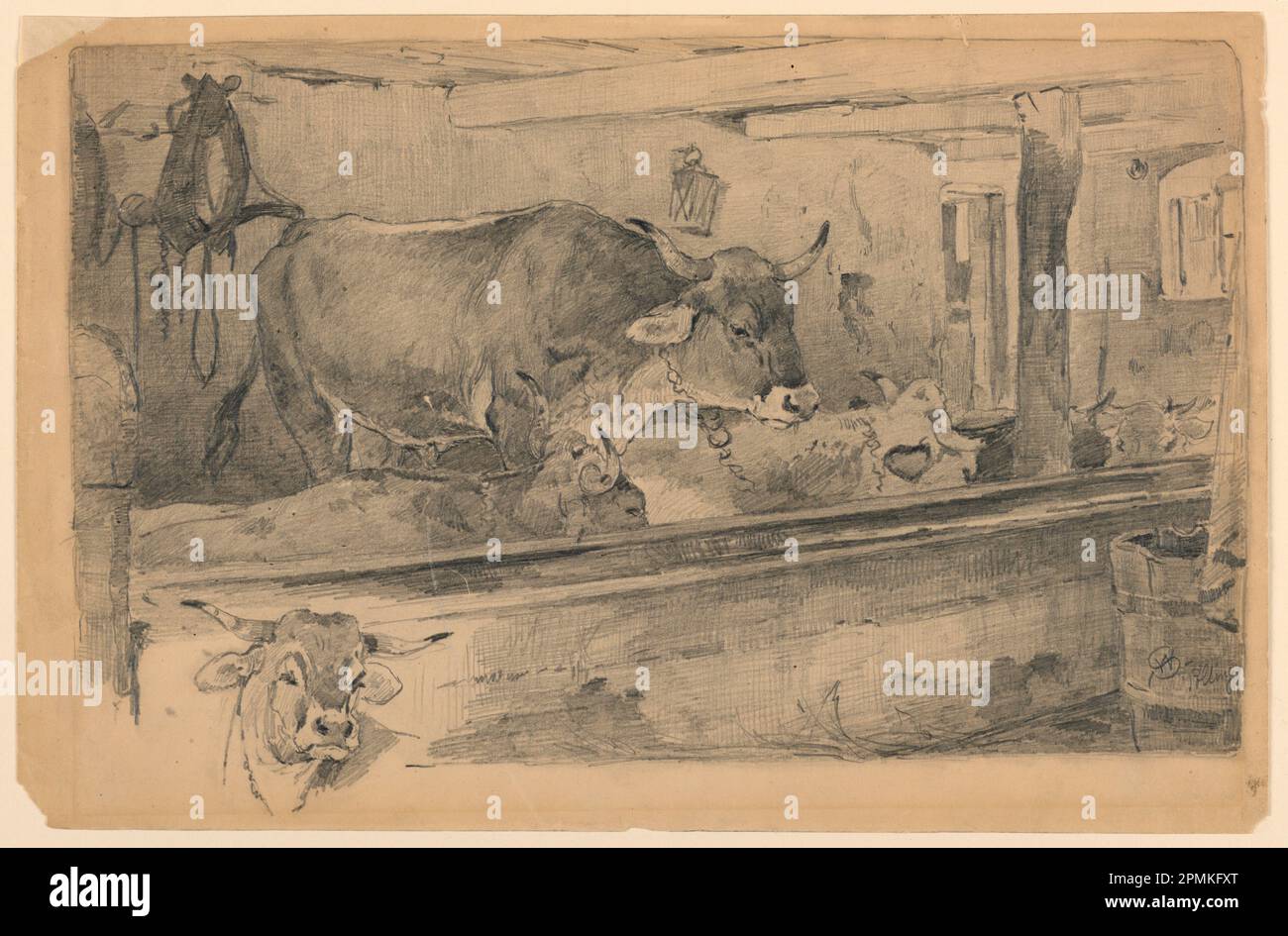 Drawing, Cattle Study for Sheep-Shearing; Walter Shirlaw (American, b ...