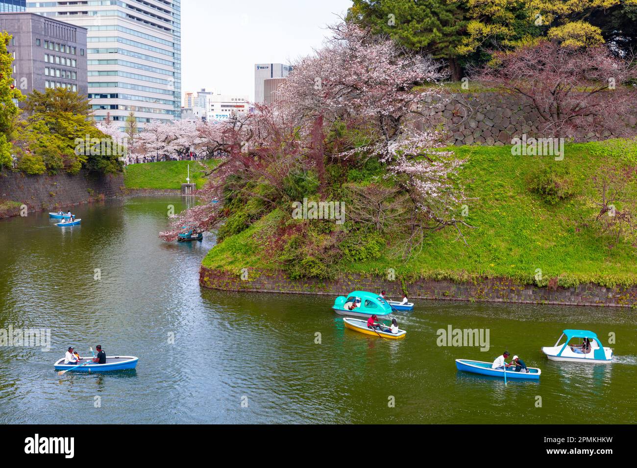 April 2023 Hanami viewing cherry blossoms by boat in the moat at ...