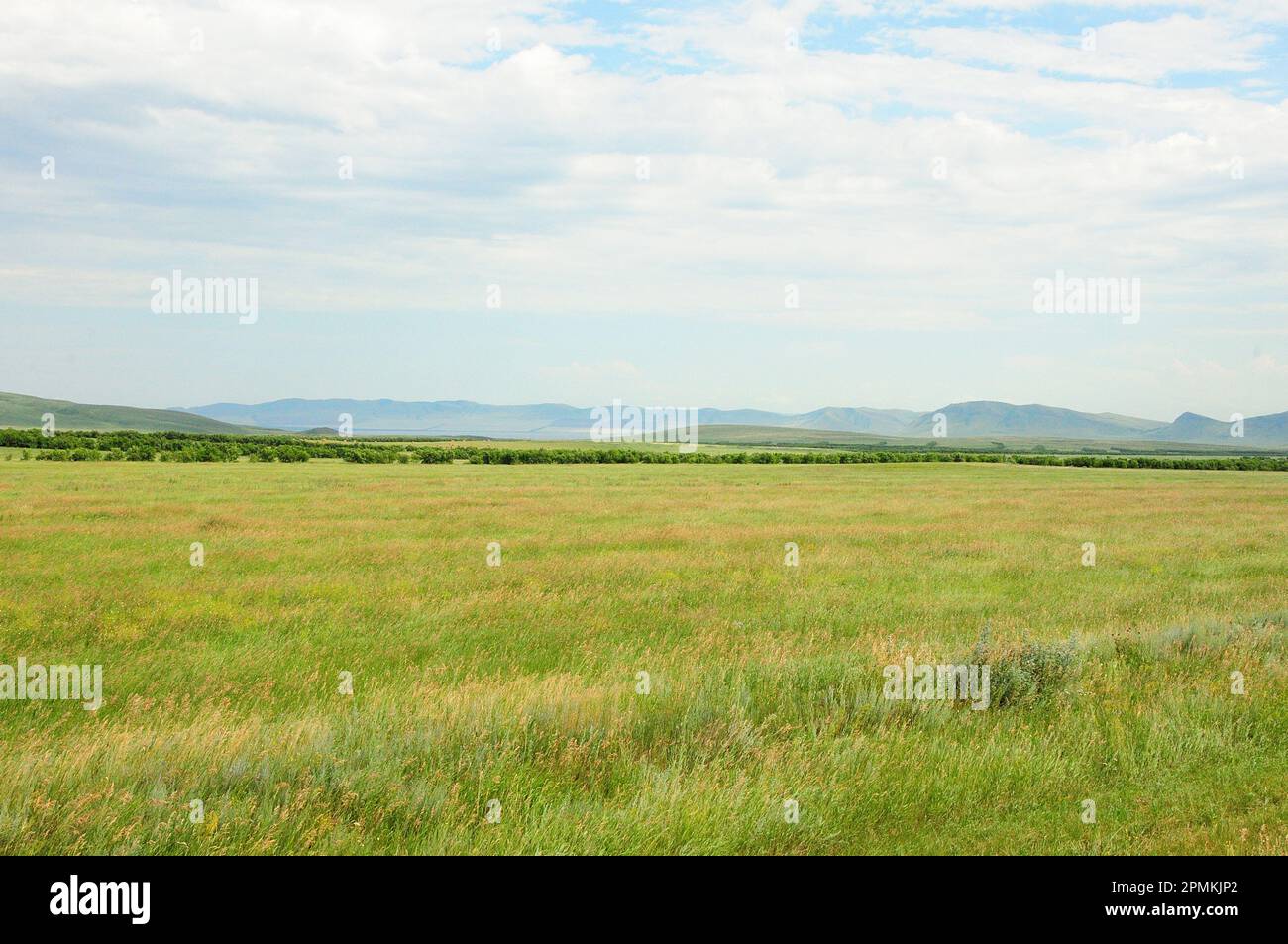 Wide boundless steppe with low green grass at the foot of the hills ...