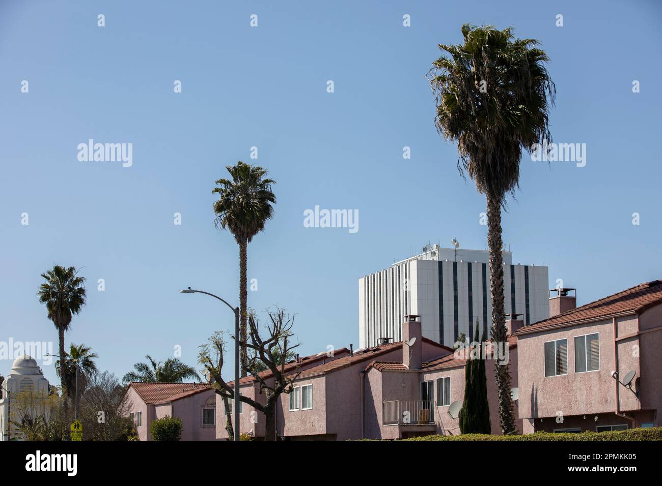 Afternoon palm framed view of downtown Compton, California, USA Stock ...