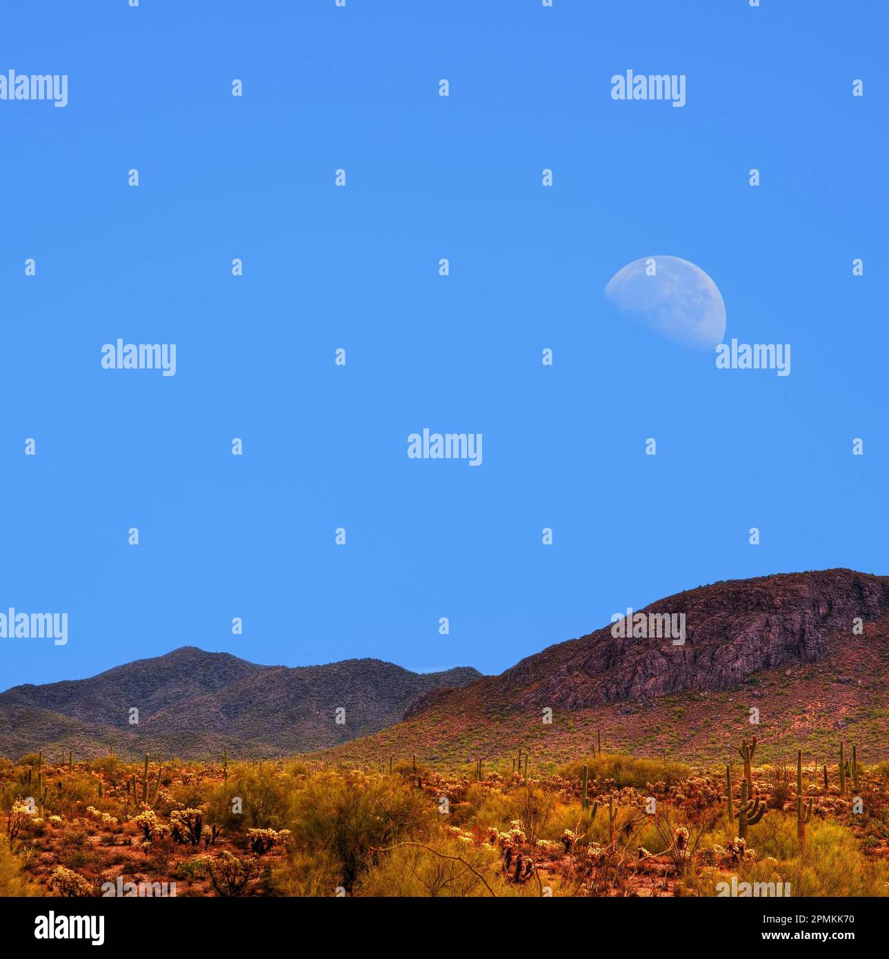 Moon rising Sonora desert in central Arizona USA Stock Photo - Alamy
