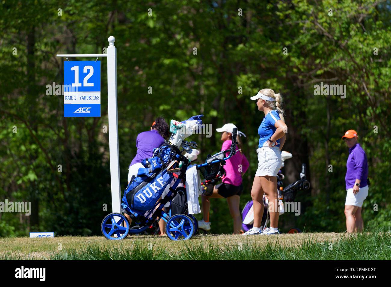 Erica duke hi-res stock photography and images - Alamy