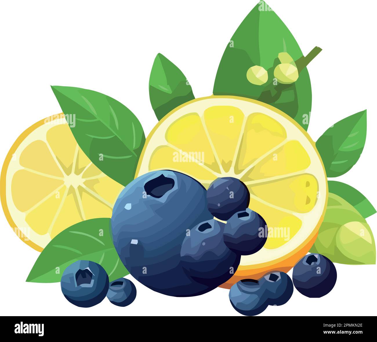 Juicy blueberry lemon slice fresh and ripe Stock Vector Image & Art - Alamy