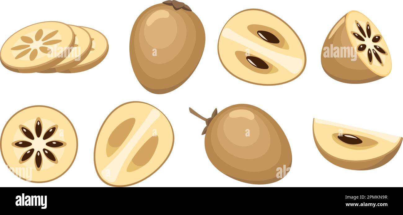 Sapota fruits set Stock Vector Image & Art - Alamy