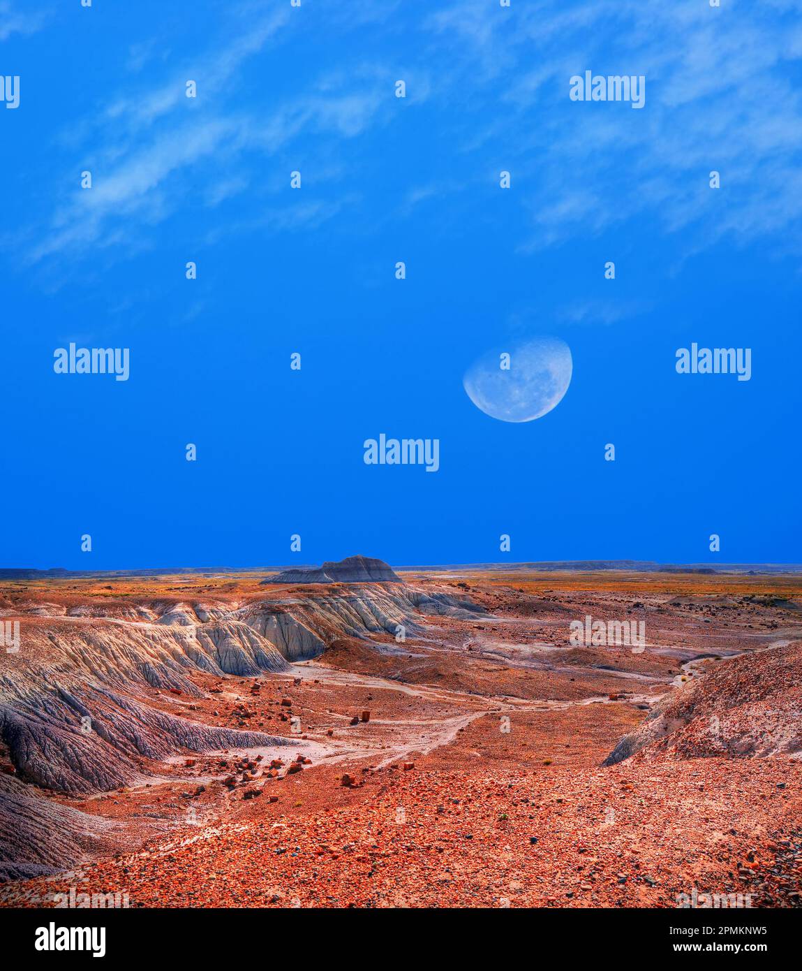 Moon and scenic landscape of ancient petrified trees in Arizona Stock ...