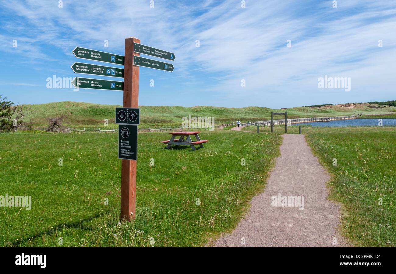 Trail signpost marking the start of the Cavendish Dunelands trail. The ...