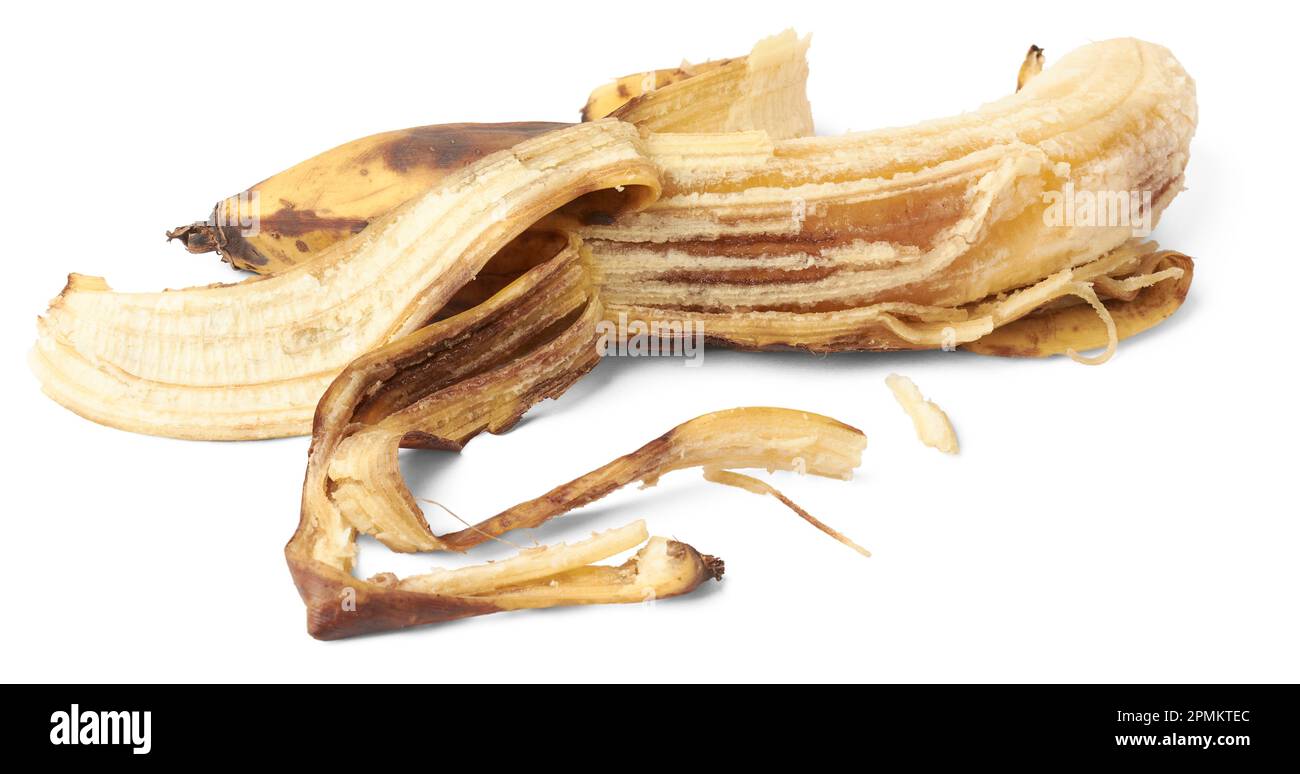 close-up of peeled rotten or spoiled banana, breeding ground for ...