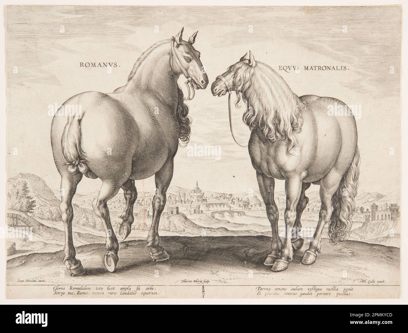 Print, A Roman Horse, from the first set of "Equile Joannis Austriaci ...