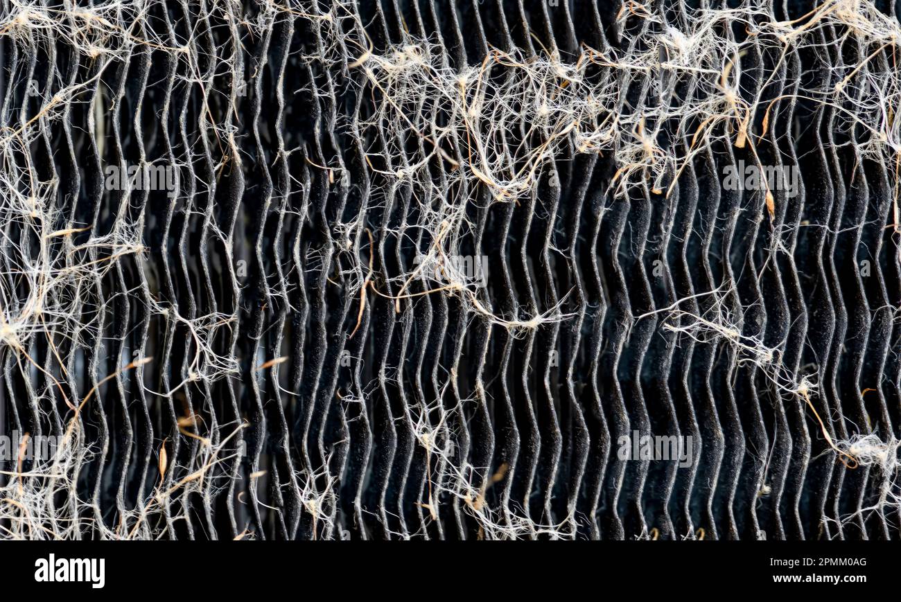 Macro of seed pods and dust collecting on the heat exchanger coils of ...