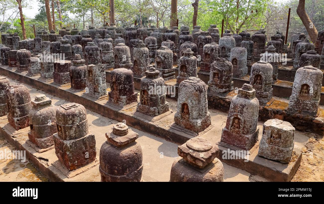 Rows of Small Stupas in the Campus of Ratnagiri Buddhist Monastery ...