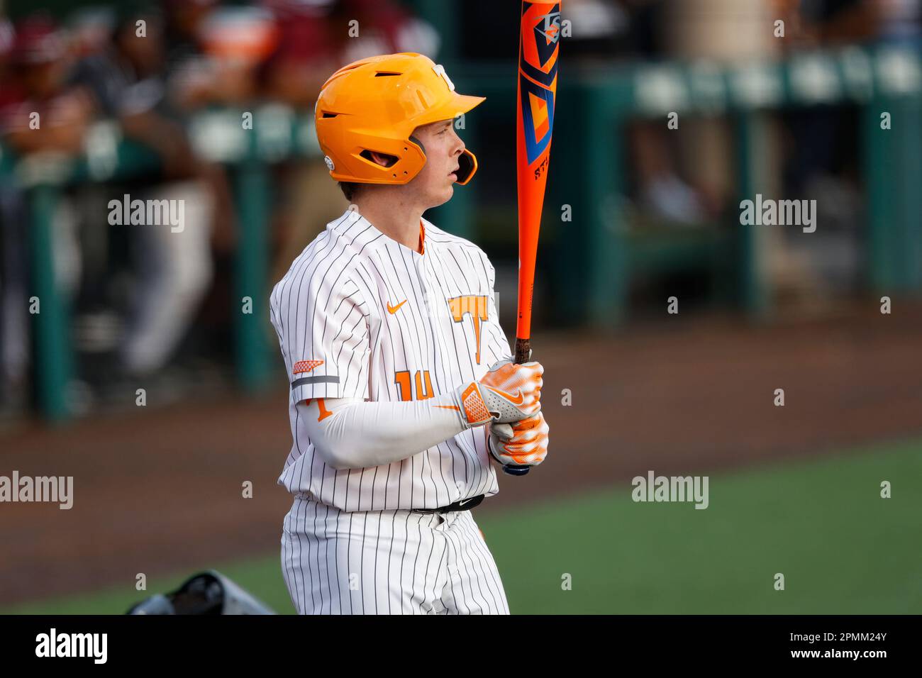 Tennessee Volunteers catcher Charlie Taylor (14) at bat during an NCAA ...