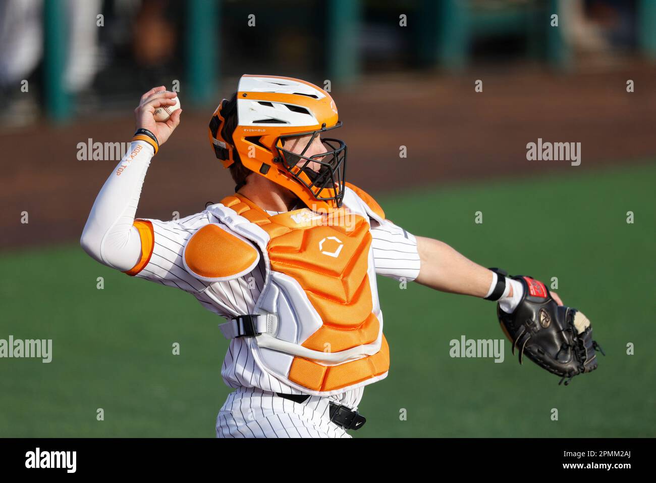 Tennessee Volunteers catcher Charlie Taylor (14) on defense during an ...