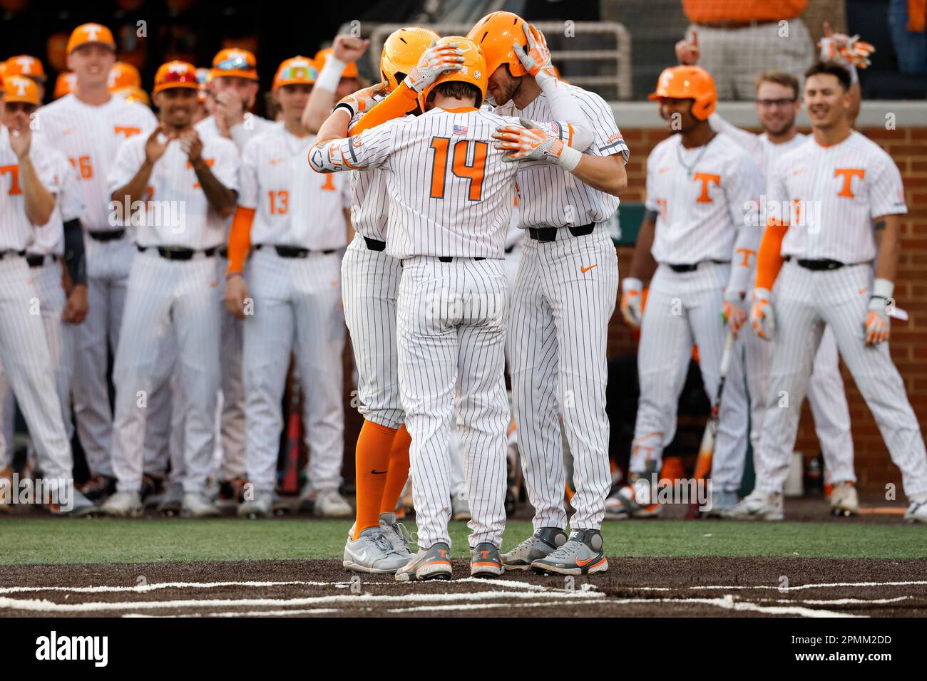Tennessee Volunteers catcher Charlie Taylor (14) celebrates hitting a ...