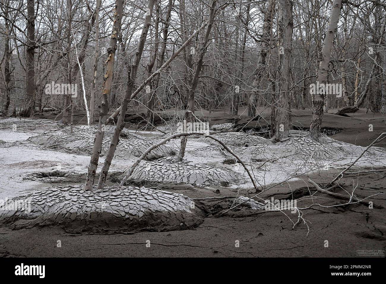 In this photo provided by the Russian Academy of Sciences' Volcanology ...