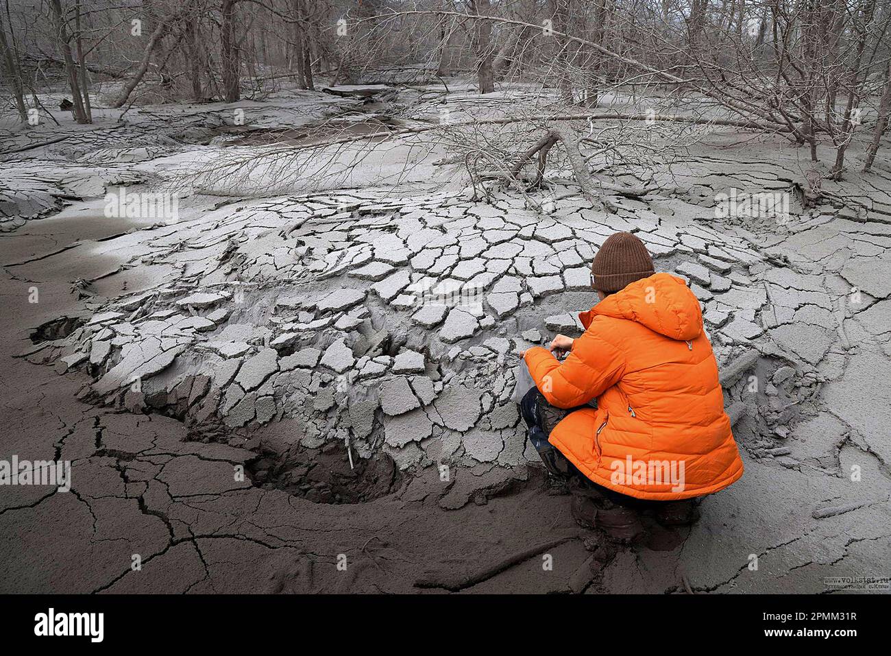In this photo provided by the Russian Academy of Sciences' Volcanology ...