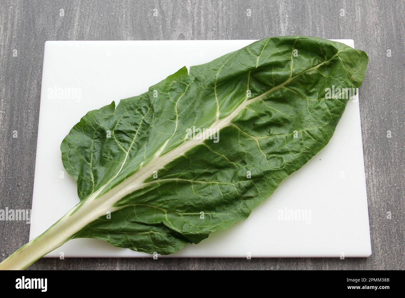 Green vegetables like parsley, celery, nopales, cucumbers, chard and ...