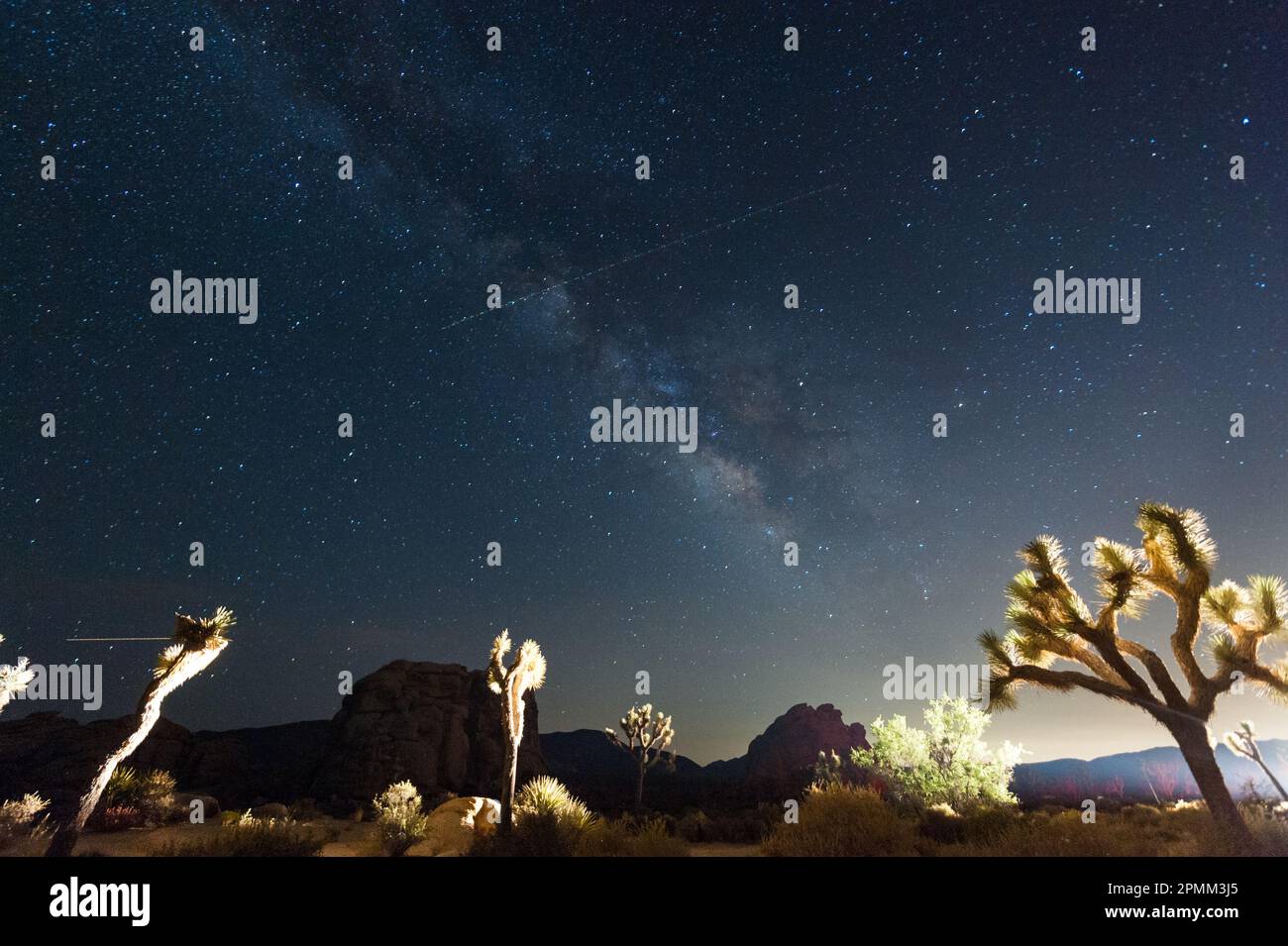 Impression of the night sky on a quiet summer evening in Joshua Tree ...