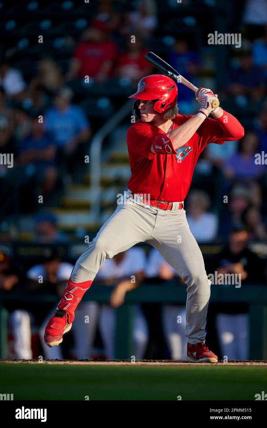 Clearwater Threshers Jordan Viars (33) bats during a MiLB Florida State ...